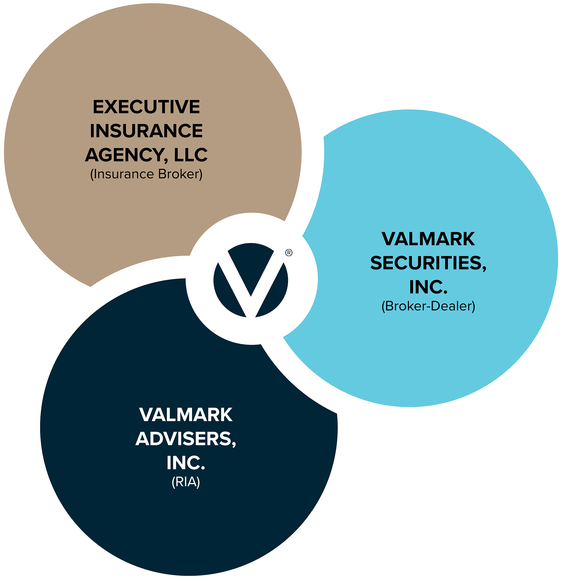 Valmark Financial Group